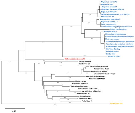 Minimizing The Anticodon Recognized Loop Of Methanococcus Jannaschii Tyrosyl Trna Synthetase To