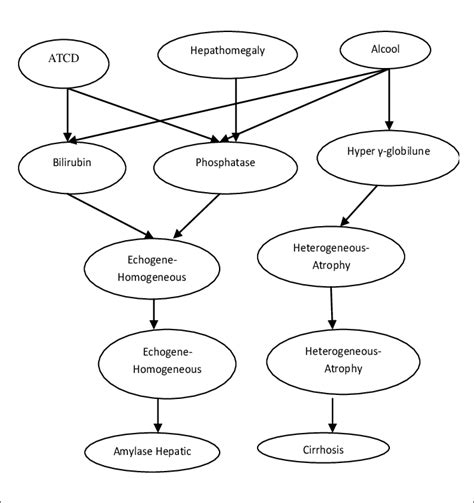 example of a bayesian network with two diseases of the liver download