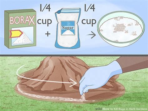 4 Ways To Kill Bugs In Herb Gardens WikiHow