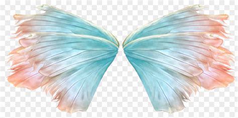 Flight Fairy Animated Film Clip Art PNG Image PNGHERO