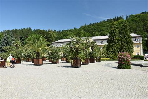 Build Your Symfony And Doctrine Orm Applications With Ease Using Ecotone By Dariusz Gafka