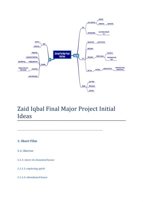 Zaid Iqbal Final Major Project Initial Ideas Pdf