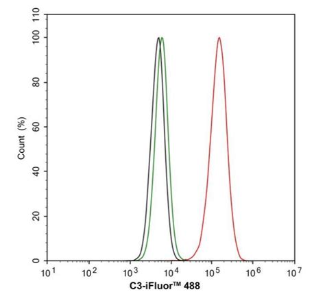 Complement C3 Antibody Jf10 30 Nbp2 66994 By Novus Part Of Bio Techne