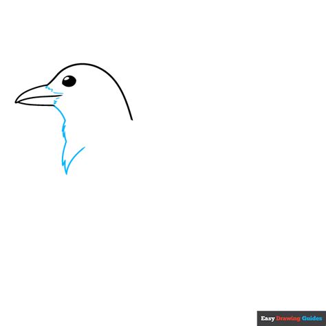 How To Draw A Magpie Really Easy Drawing Tutorial