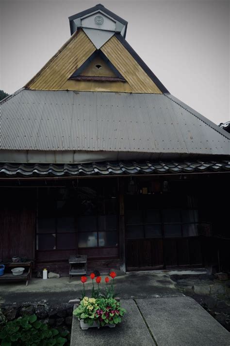 鬱金香 GANREF