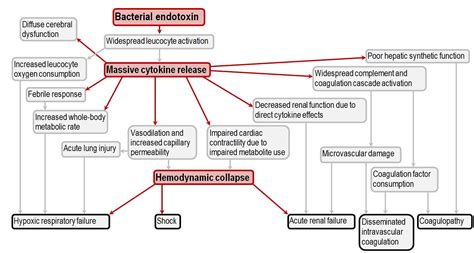 Sepsis Pathophysiology Diagram