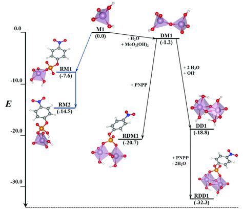 Comparison Between The Incorporation Of Pnpp To The Mononuclear And To