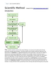 Lab Unit Scientific Method Docx Page Lab Scientific Method Scientific Method