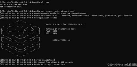 【redis】启动报错（could Not Create Server Tcp Listening Socket 1270016379 Bind 操作成功完成）及解决方法 Csdn博客