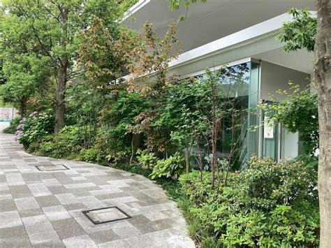 TREE by NAKED meiji park ツリー バイ ネイキッド 原宿表参道青山 はらお