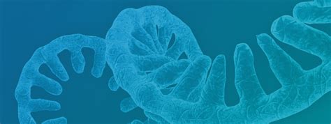 Innovations Abound At Iso Seq Social Club 3 Pacbio