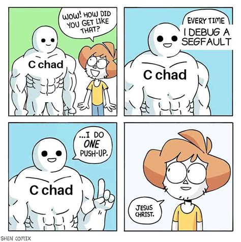 The More Segfaults The Better The Language Scrolller