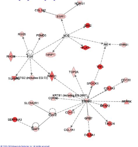 Top Biological Network Obtained Through Analysis Of Download