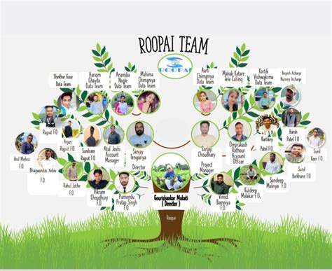 sanjay tenguriya on linkedin team roopai