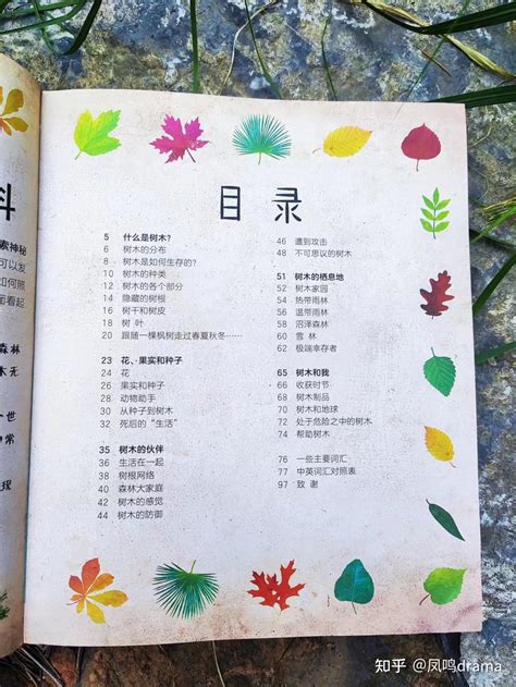 DK神秘的树百科欢迎来到树的世界 知乎