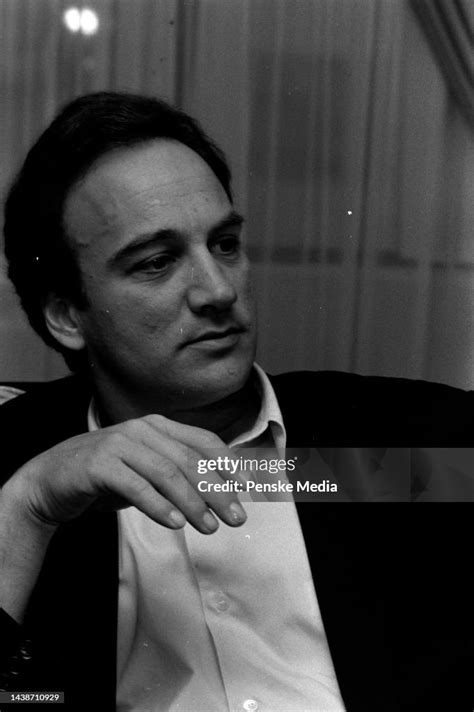 Actor Jim Belushi Talks About His Acting Career During An Interview