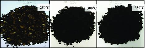 The Physical Appearance Of Palm Kernel Shell Torrefaction Products