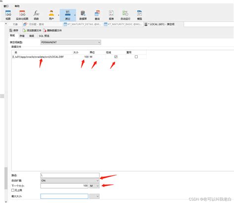 Navicat如何使用orcale（详细步骤）navicat Oracle Csdn博客