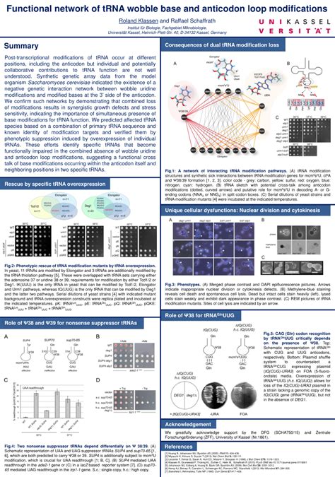 PDF Functional Network Of TRNA Wobble Base And Anticodon Loop Modifications