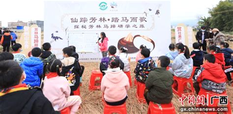 贺州平桂区放大“芳林马蹄”示范效应助农增收 媒体报道 广西名优农产品品牌网