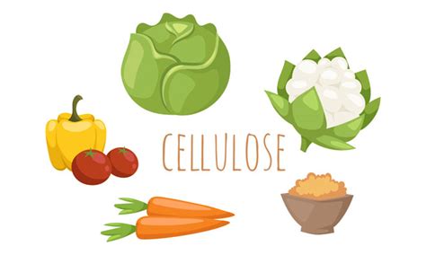Cellulose And Food An Environmentally Friendly Optimiser
