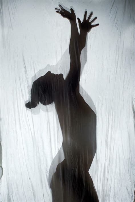 Female Body Transparencies 27086661 Stock Photo At Vecteezy