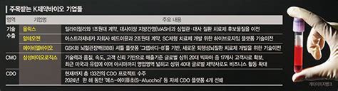 후발주자의 반란 기술이전·위탁생산으로 빅파마 잡았다 존재감 커진 K바이오 상