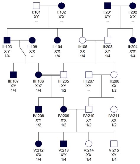 Ancestry Charts For X Linked Dominant Inheritance Patterns Where
