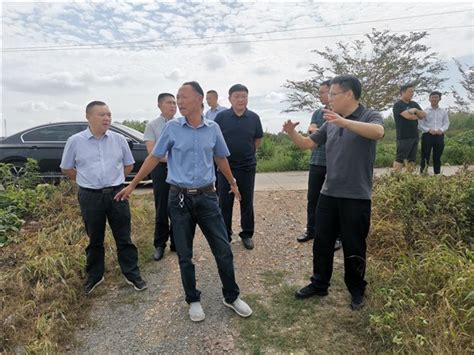 汪侃副市长到郎溪县调研农业农村工作 宣城市农业农村局