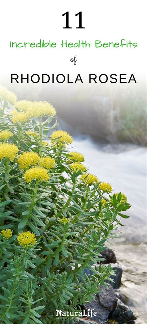 Benefits Of Nature Artofit