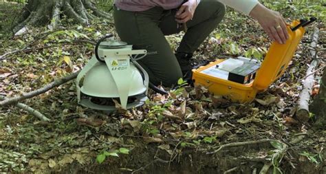 Calentamiento Del Suelo Agrava Cambio Climático Acción Verde El