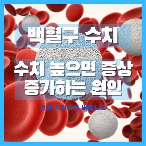 백혈구 수치 높으면 나타나는 증상 백혈구 수치 증가 원인 네이버 블로그