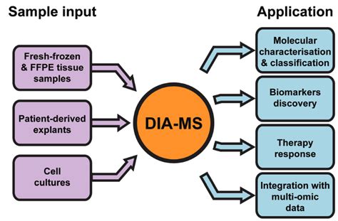 Dia Proteomics Service Mtoz Biolabs