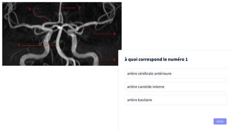 Révision 23 S3 Polygone De Willis
