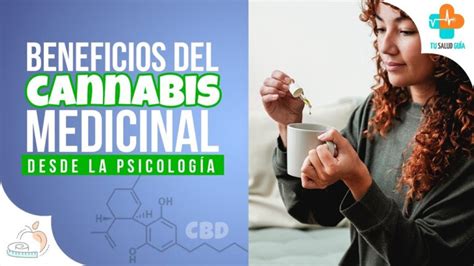 Beneficios Del Cbd En El Cuerpo Actualizado Julio 2024