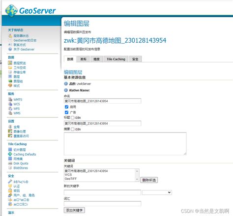 Geoserver的使用geoserver 使用 Csdn博客 Geoserver的使用geoserver 使用 Csdn博客