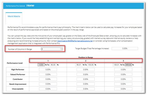 Customizing The Merit Matrix Performance Pro
