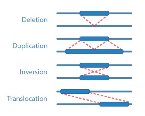 Structural Variant Analysis