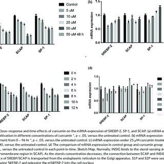 A B Figure A A P Value Of Or Less Was Considered Download Scientific Diagram