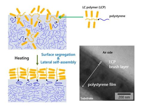 Schematic Depiction Of Polymer Image Eurekalert Science News Releases