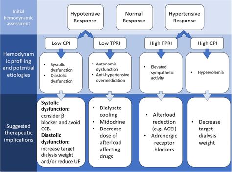 Of Hemodynamic Profiling Of Hd Patients Main Etiologies And Suggested Download Scientific