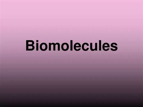 Ppt Biomolecules Powerpoint Presentation Free Download Id4172556