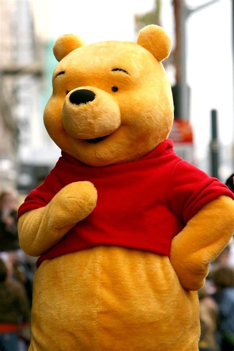 Polish Lawmakers Want To Ban Winnie The Pooh Over His Dubious Sexuality Vanity Fair
