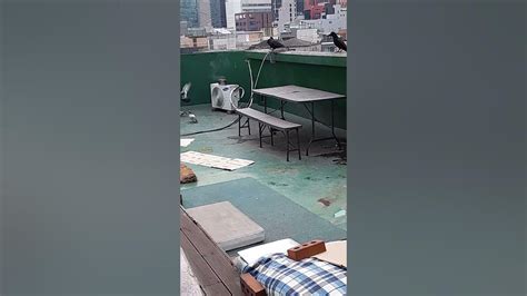 내가 그들의 슬픔을 돌려서 즐겁게 하며 그들을 위로하여 그들의 근심으로부터 기쁨을 얻게 할 것임이라 아멘 20241220 Youtube