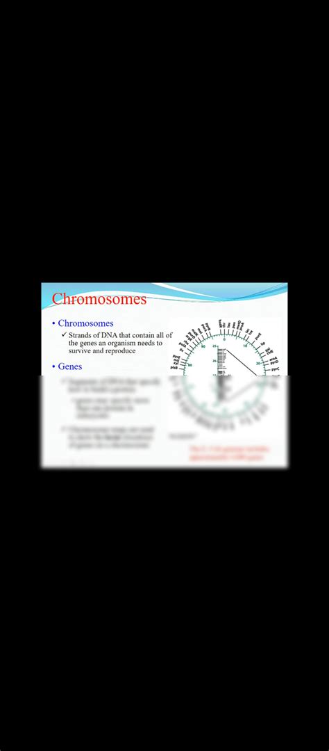 Solution Dna And Rna Central Dogma Of Molecular Biology Studypool