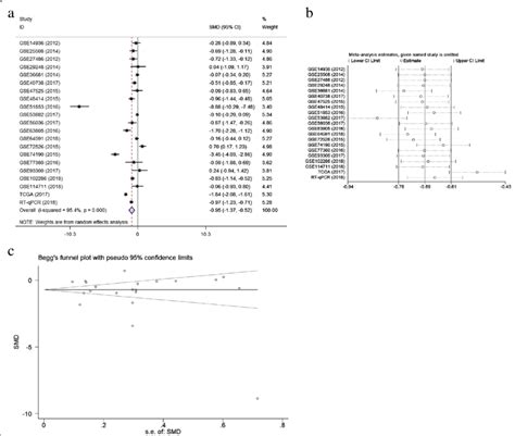 Download Comprehensive Meta Analysis Reteraffiliates