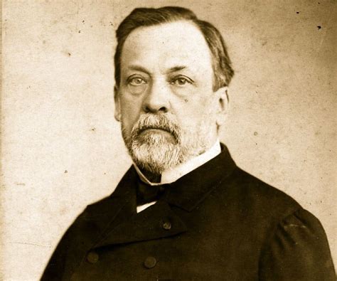 Louis Pasteur Spontaneous Generation And Germ Theory