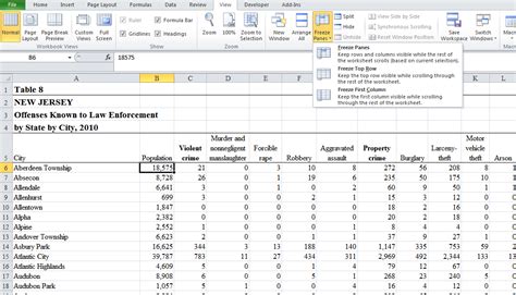 Computer Applications In Criminal Justice Using Excel To Tame Large