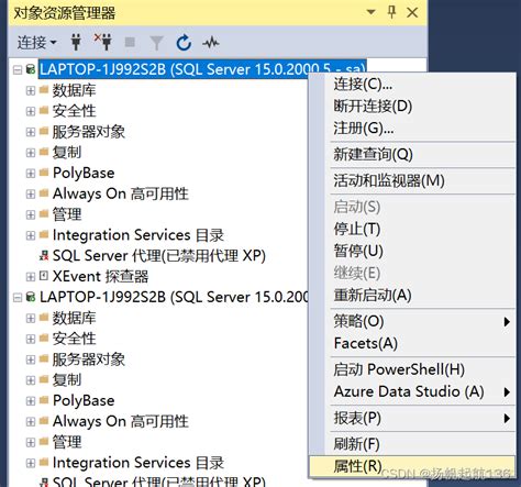 sql server 2019 查看许可信息 sql数据库2019怎么看已激活 mob6454cc6b8546的技术博客 51cto博客