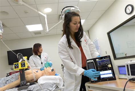 Cerebral Oxygen Monitoring Electroencephalography And Cerebral Oximetry Nyu Langone Health